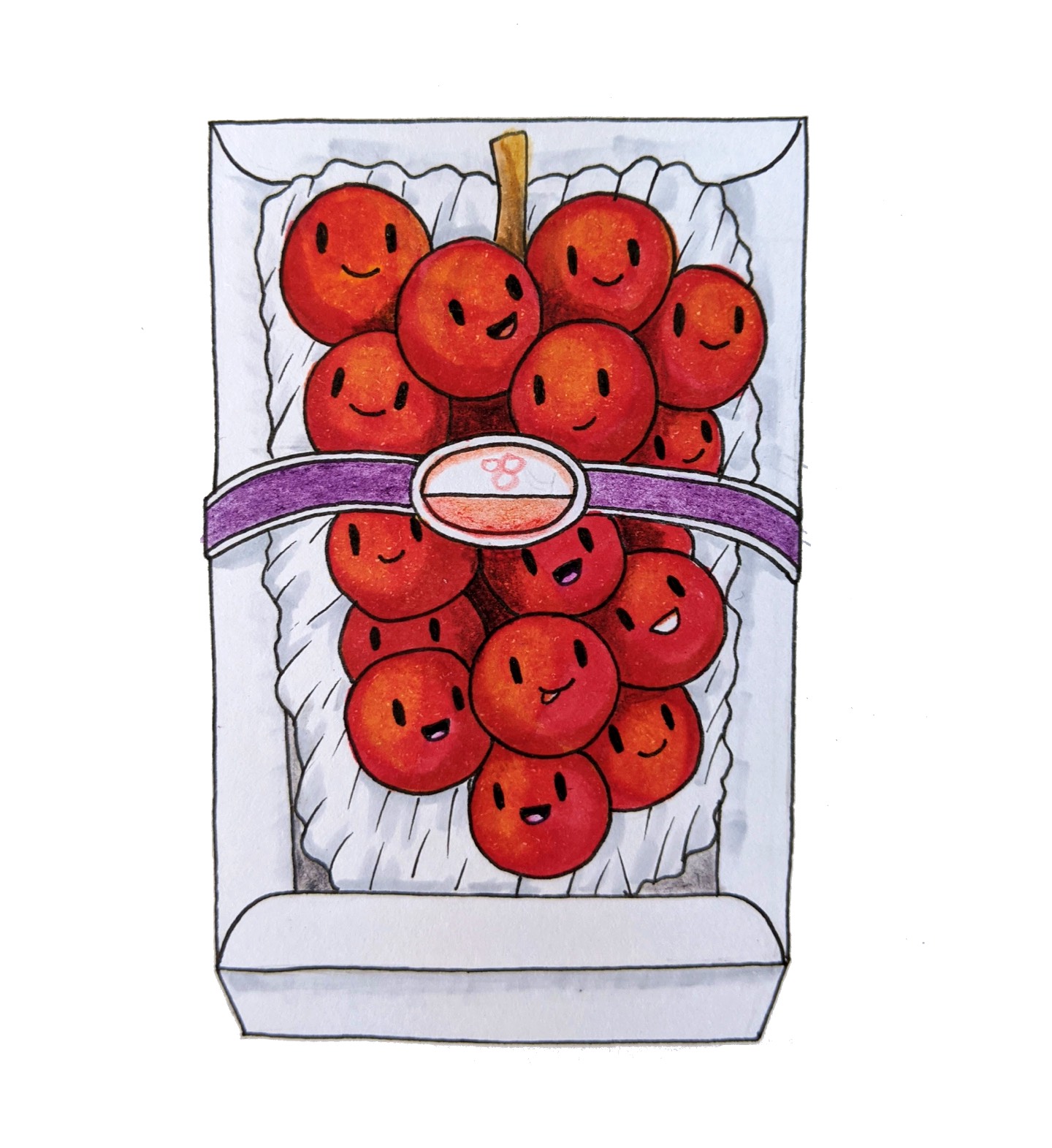 The Most Expensive Grapes In The World – Japan’s Exclusive Ruby Roman ...