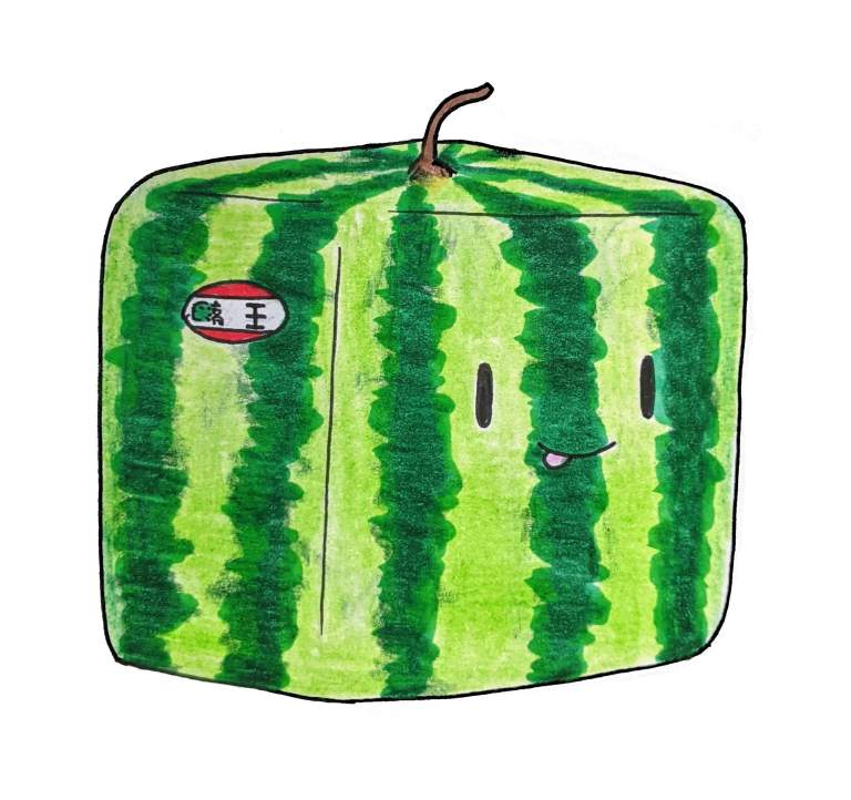Why Do Japanese Farmers Grow Square Watermelons? – StickyMangoRice