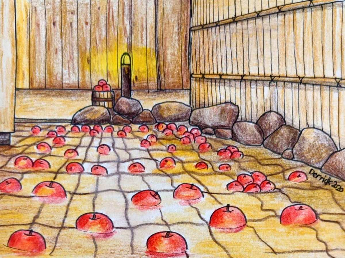 The Weird World Of Apples In Japan – Aomori Apple Picking, Apple ...