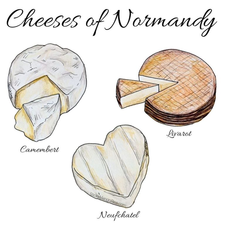 French Cheeses By Region – The Illustrated Guide to France’s Cheeses ...